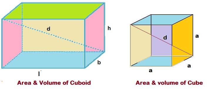Volume Of Cube And Cuboid Area Of Cube And Cuboid Allmathtricks